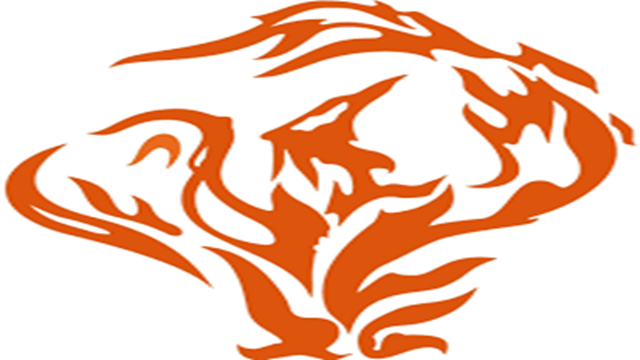 Phoenix Metals Careers